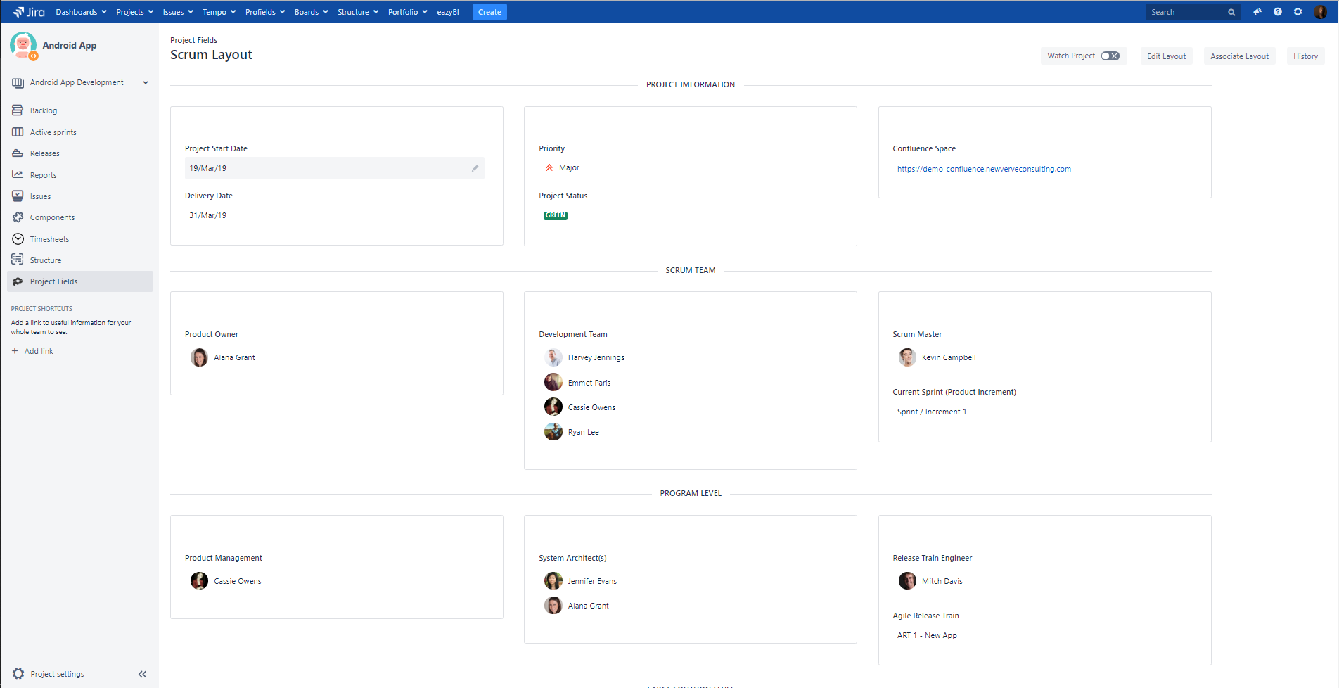 Profields and SAFe Project Planning | New Verve Consulting